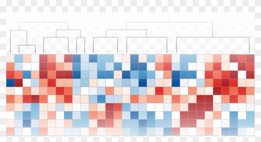 Morpheus Heatmap, HD Png Download - 1280x636(#3829090) - PngFind