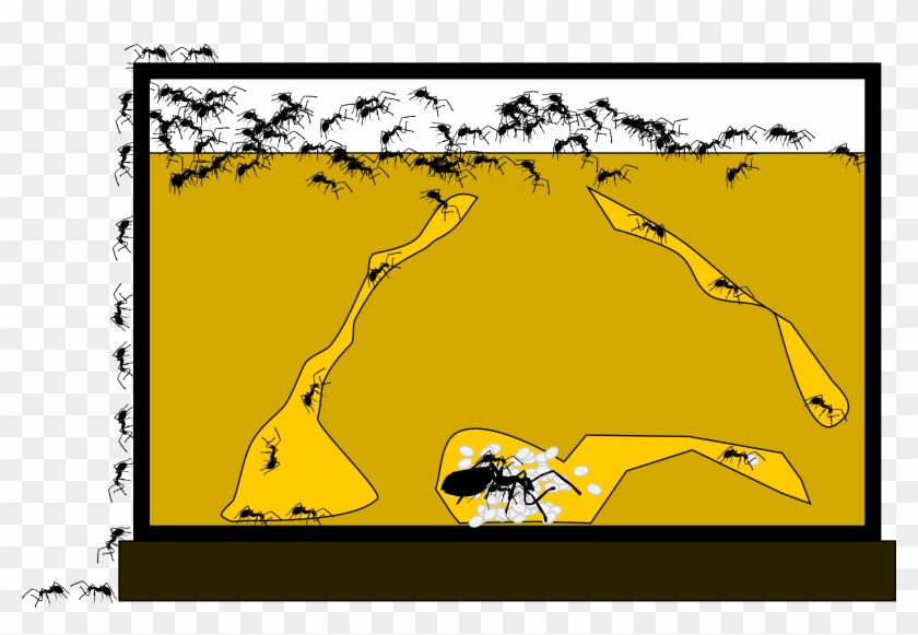 This Free Icons Png Design Of Ant Farm - Ant Farm Clipart Png ...