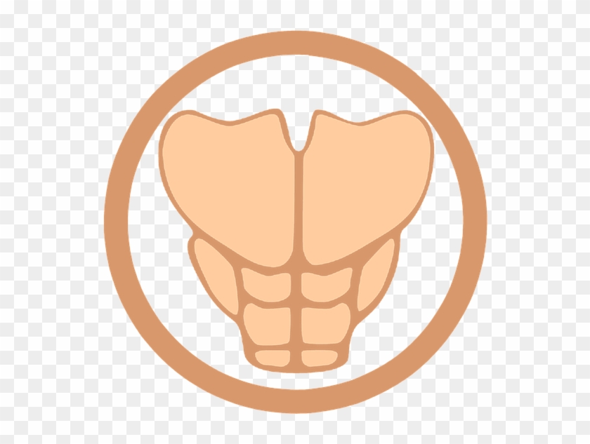 Abs Png, Transparent Png - 720x720(#390677) - PngFind