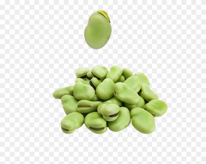 896 X 921 1 - Broad Beans Png, Transparent Png - 896x921(#397582) - PngFind