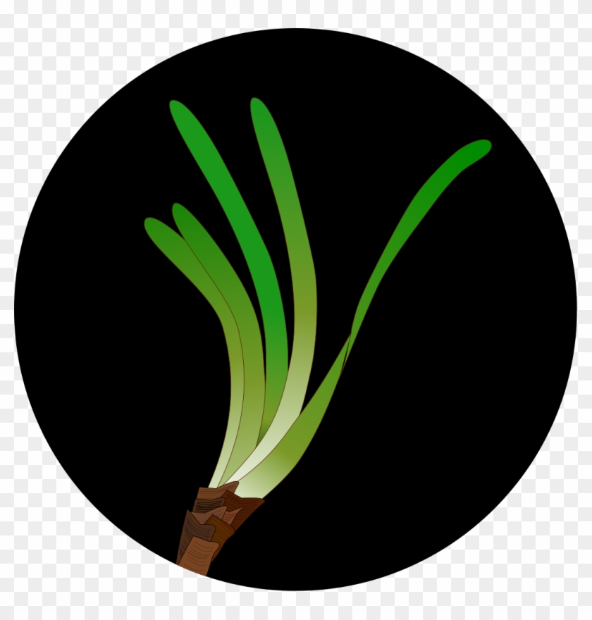 File - Seagrass Icon - Svg - Circle, HD Png Download - 1024x1024 ...