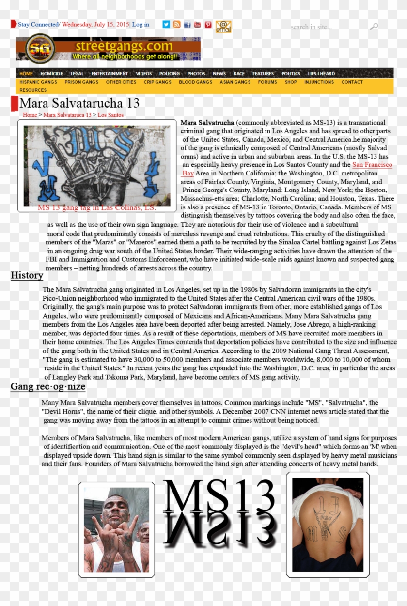 Qvzu39t - Ms 13 Gang Signs, HD Png Download - 1000x1432(#3935279) - PngFind