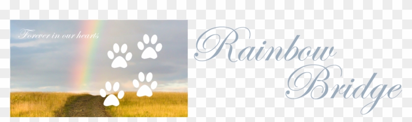 Rb Banner - Transparent Rainbow Bridge Png, Png Download - 1200x288 ...