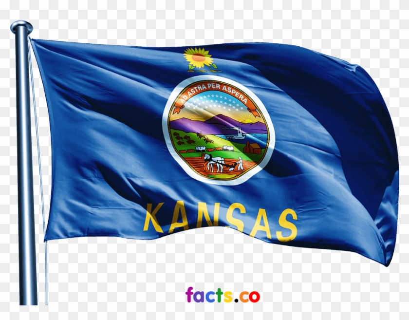 Flag Perù, HD Png Download - 1000x750(#3993117) - PngFind