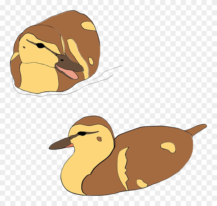 Farm, Animal, Agriculture, Village, Pet, Furry, Bird - Duck, HD Png ...