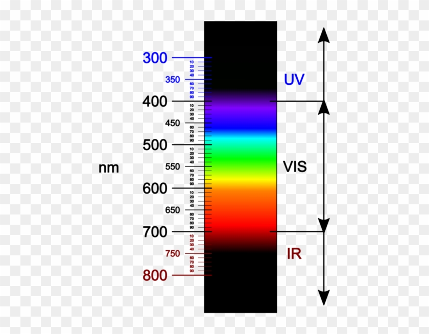 Visible Light Spectrum - One Photon Vs Two Photons, HD Png Download ...