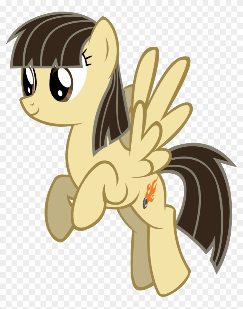 Click To Expand - My Little Pony Wild Fire, HD Png Download - 801x988 ...