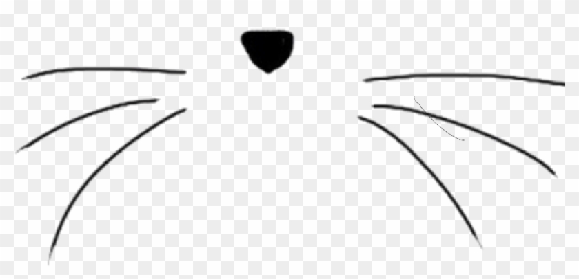 Cat Whiskers Transparent