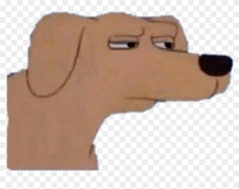  dog meme memes dank yeet oof suspicious u Need Suspicious Dog 