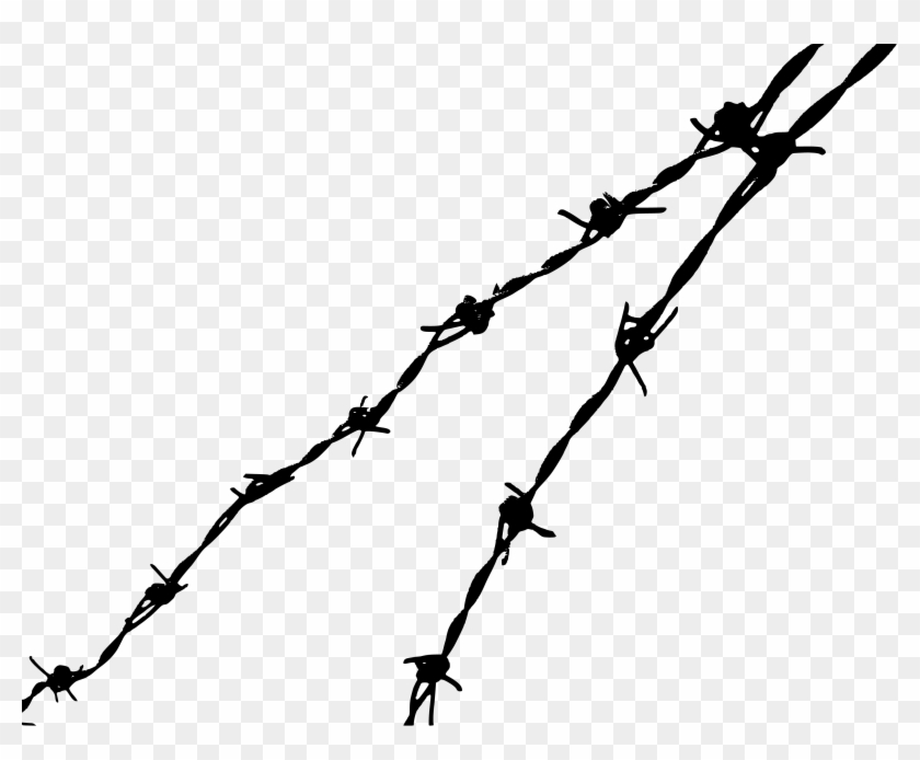 3537 × - Barbed Wire Silhouette Png, Transparent Png - 3537x2755 ...