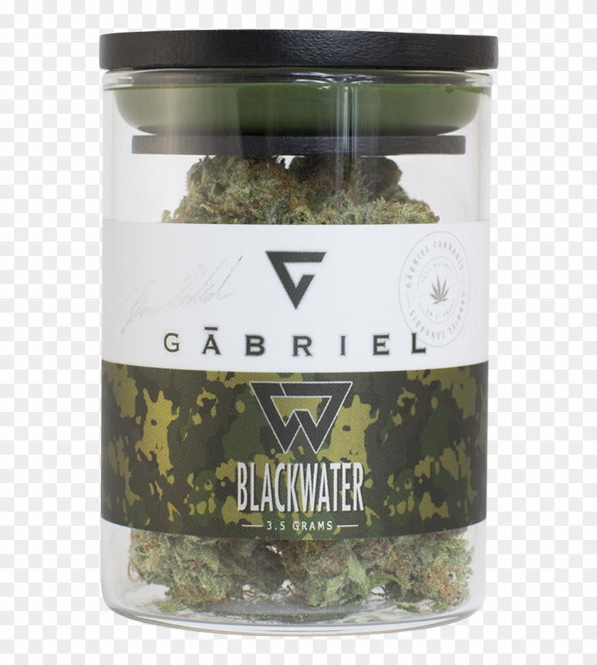 Gabriel Weed, HD Png Download - 1000x1300(#418321) - PngFind