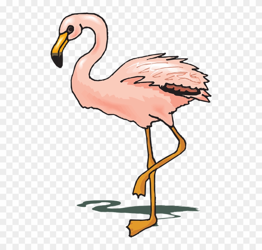 Zoo Cartoon Drawing At Getdrawings Free Download Animal Nature