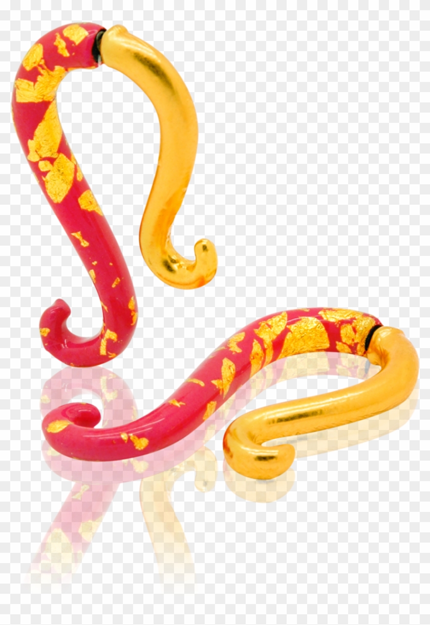 Python, HD Png Download - 1000x1504(#4111064) - PngFind