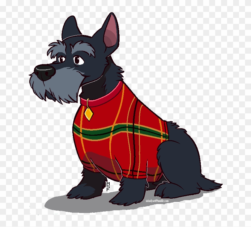The Dog's Bollox - Scottish Terrier, HD Png Download - 700x720(#4114284 ...