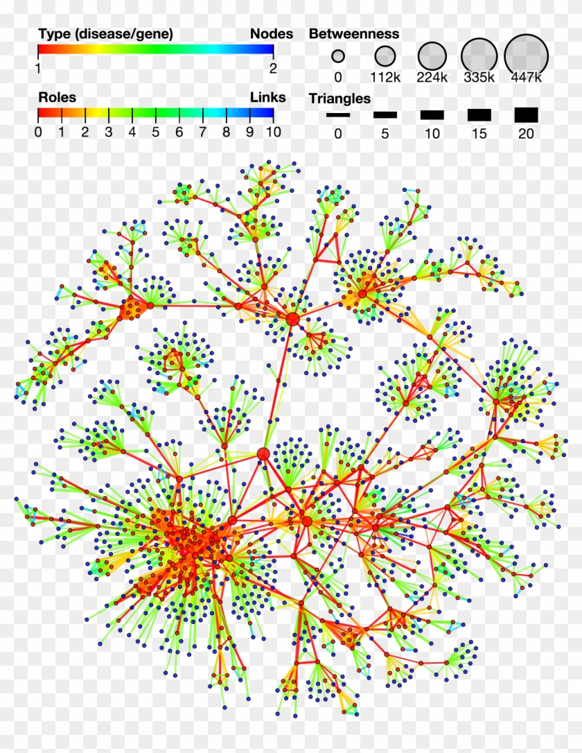 The Most Powerful And Easy To Use Interactive Graph - Visual Graph, HD ...