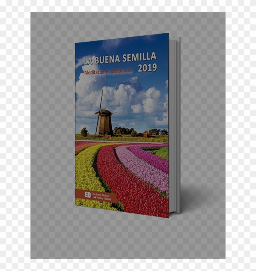 La Buena Semilla - Calendario La Buena Semilla 2019, HD Png Download ... La Buena Semilla - Calendario La Buena Semilla 2019, HD Png Download ...