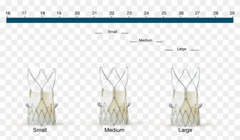 Acurate Neo™ Aortic Bioprosthesis - Acurate Neo Symetis, HD Png ...