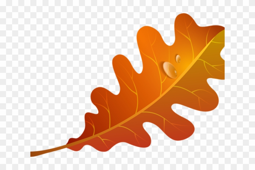 Autumn Leaves Clipart Orange Leaf - Orange Fall Leaf Clip Art, HD Png ...