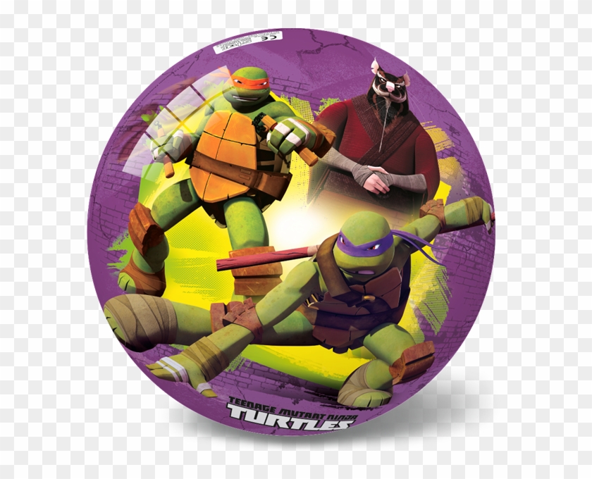 Ninja Turtles Ball, HD Png Download - 593x600(#420864) - PngFind