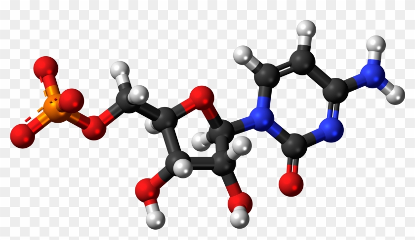 Cytidine Monophosphate