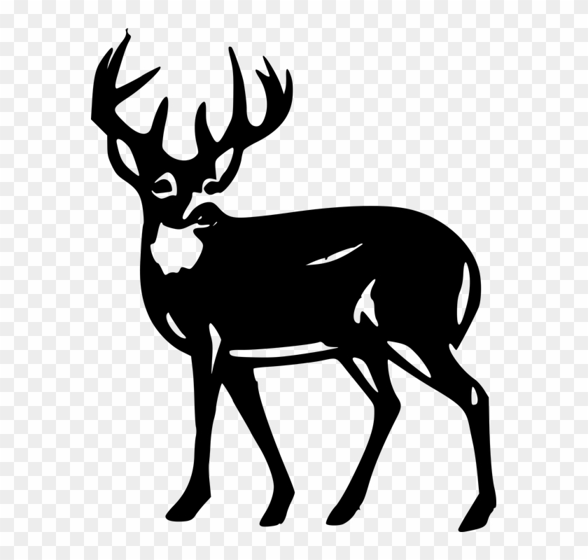 Deer Free Vector Graphic - Pittman Robertson Act, HD Png Download ...