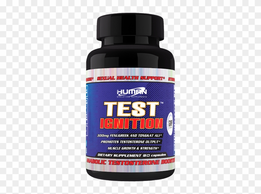 [c] [view Image] Human Evolution's - Bodybuilding Supplement, HD Png ...