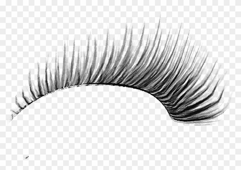 Pestañas Sticker - Eyelash Transparent, HD Png Download - 796x514 ...