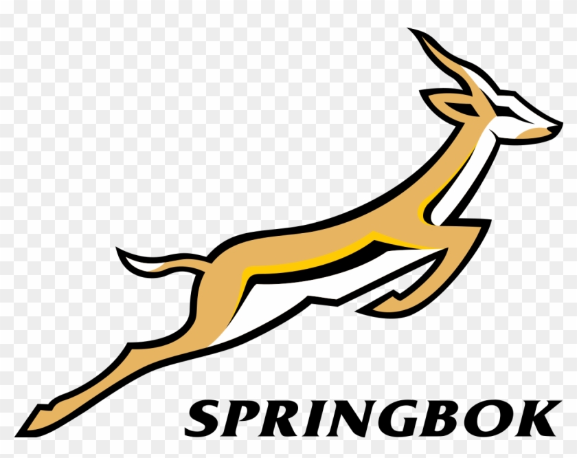 Springbok Logo
