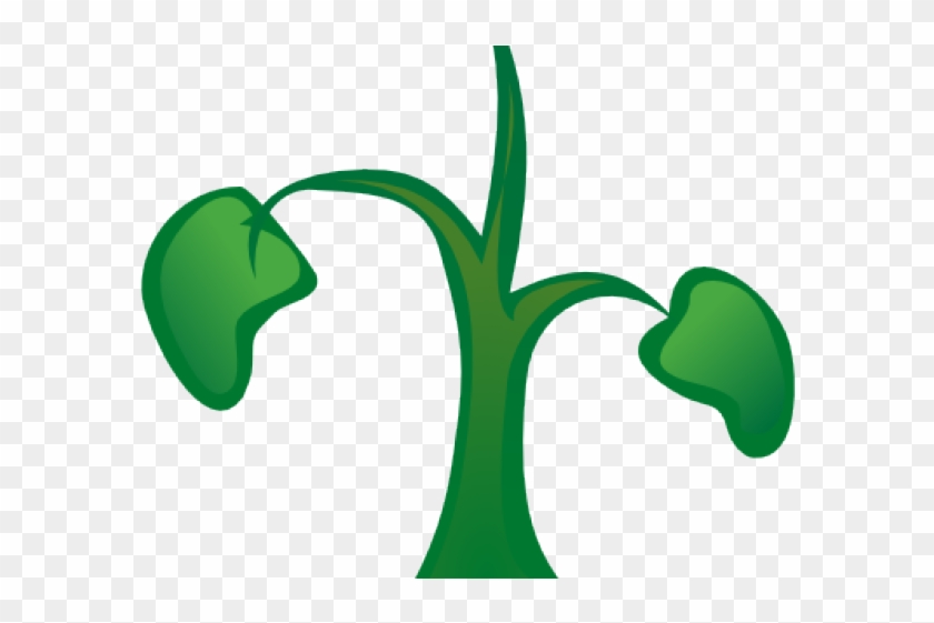 Sapling Clipart, HD Png Download - 640x480(#4271502) - PngFind Sapling Clipart, HD Png Download - 640x480(#4271502) - PngFind