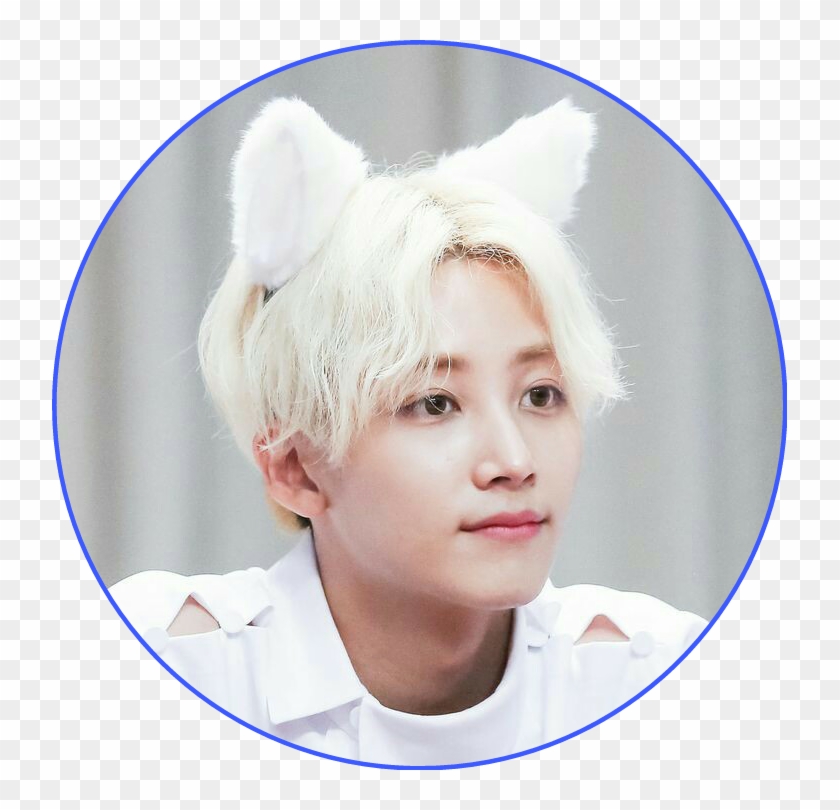 Saythenane Diamond Edge Diamondedge - Jeonghan Head Sticker Png ...
