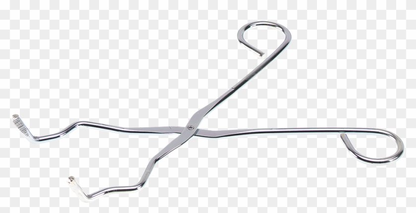 Laboratory Tongs Png, Transparent Png - 1080x500(#4304748) - PngFind