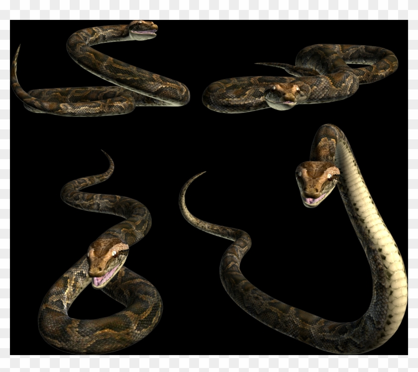 Serpent, HD Png Download - 1496x1262(#4344617) - PngFind