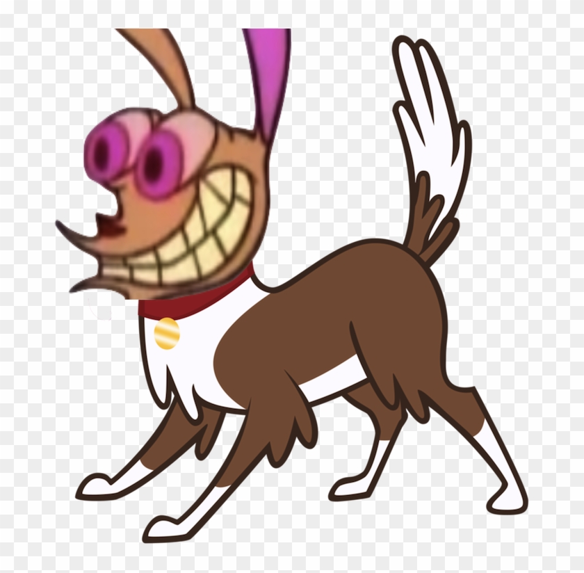 Hoek Spinnenweb Png