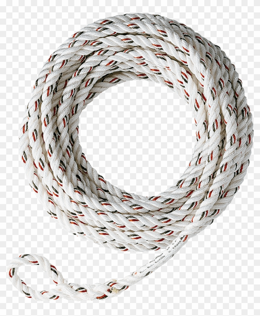 Corda Png , Png Download - Circle, Transparent Png - 856x1001(#4372524 ...