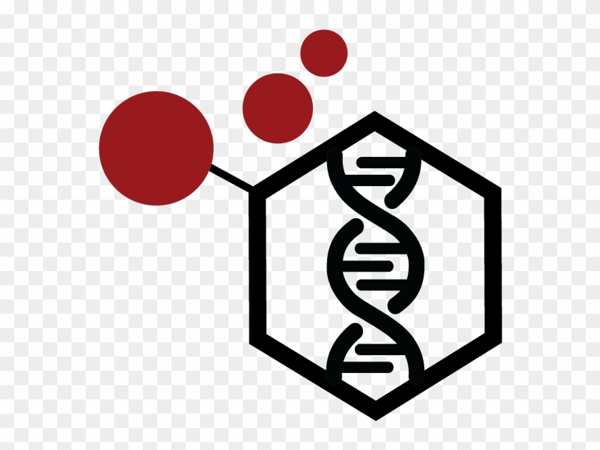 Unravel The Roles Of Secondary Metabolites, Cemist, HD Png Download ...