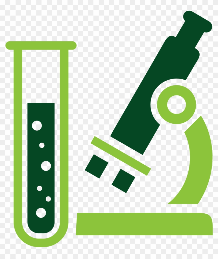 Lab Tests - Graphic Design, HD Png Download - 1667x1667(#4383829) - PngFind