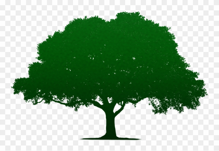 Tree Minimal Gradient Overlay - Tree Silhouette Png, Transparent Png ...