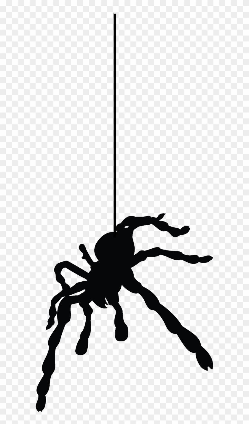 Spider Man String Png