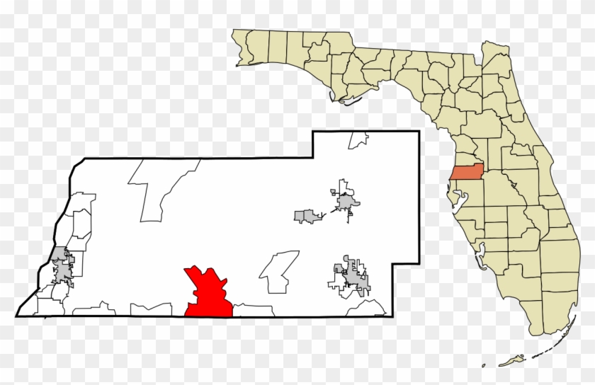 Pasco County Florida Incorporated And Unincorporated - County Florida ...