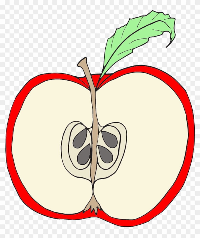 Apple Seed Clipart