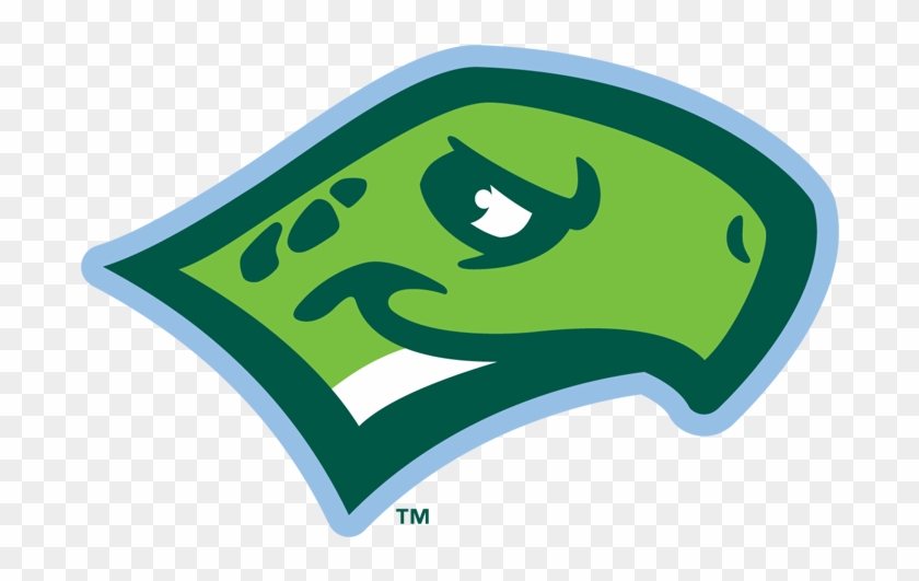 Head Fc - Daytona Tortugas Logo, HD Png Download - 715x472(#4464574 ...