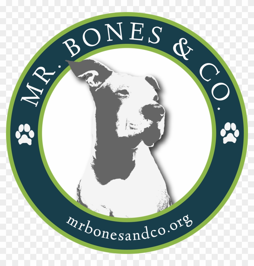 Bones Logo - Emblem, HD Png Download - 2093x2093(#4532476) - PngFind