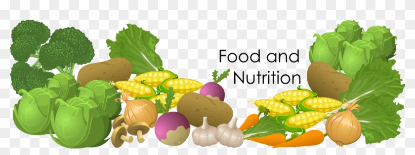 Food And Nutrition Png, Transparent Png - 1218x399(#4552978) - PngFind