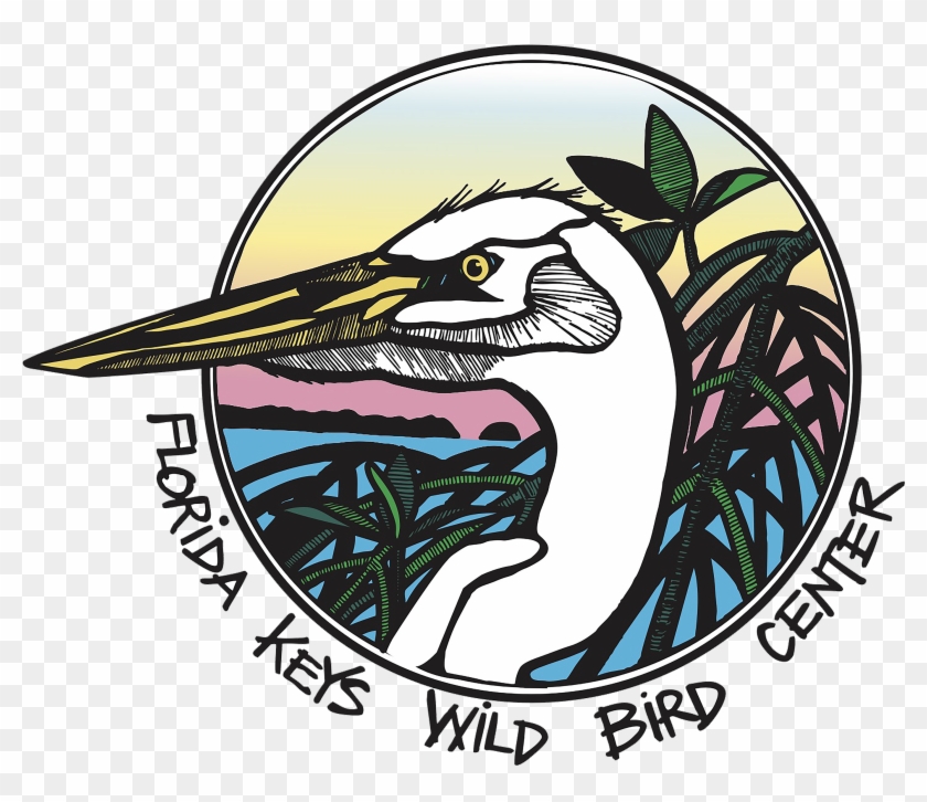 Florida, HD Png Download - 3000x2649(#4557290) - PngFind
