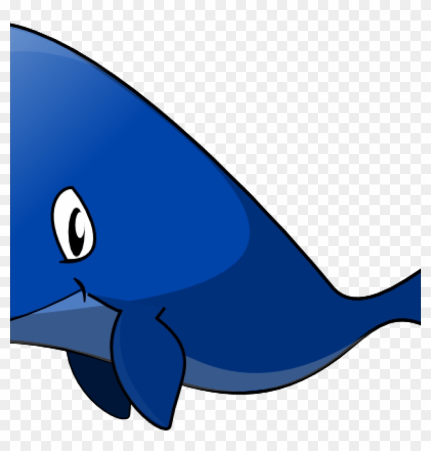 Animated Whale Clipart Png
