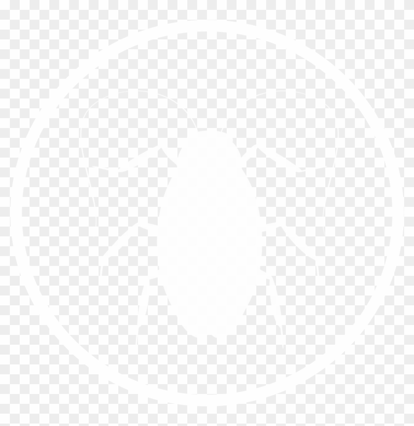 White Bug Icon Png, Transparent Png - 2063x2048(#4564602) - PngFind