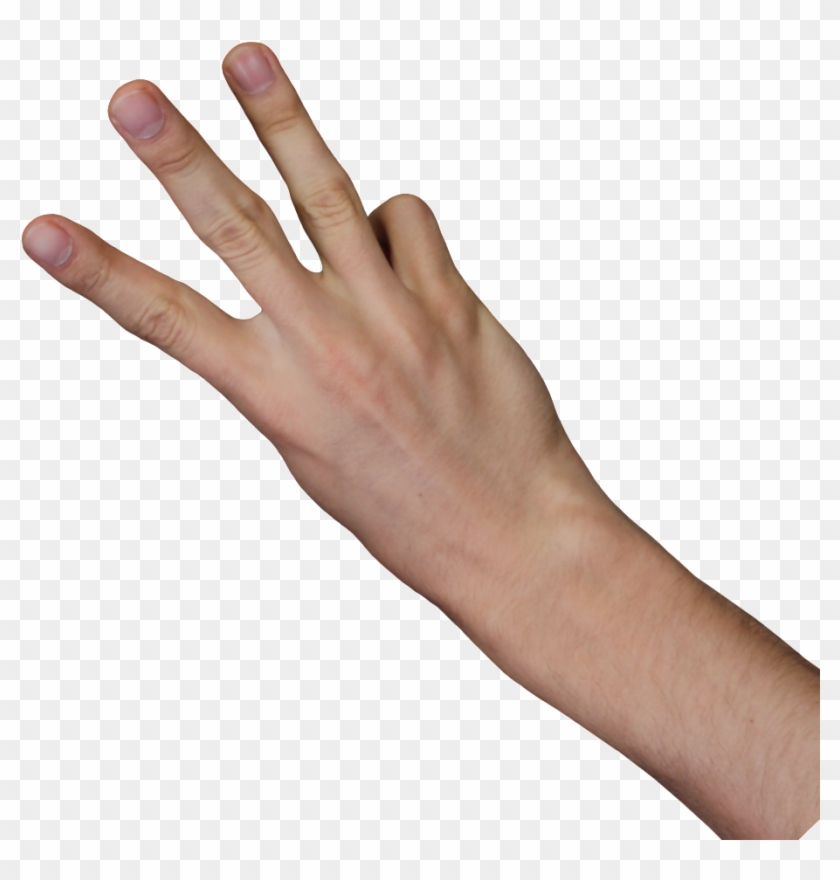 Back Of Arm Png, Transparent Png - 1024x1024(#4582255) - PngFind