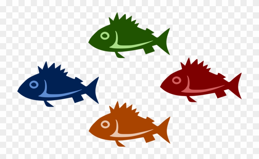 Small Fish, HD Png Download - 728x436(#4582356) - PngFind
