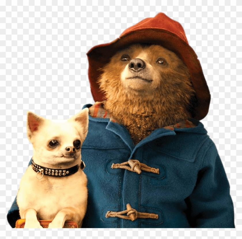 Paddington Bear Holding Small Dog - Aunt Lucy Uncle Pastuzo, HD Png ...