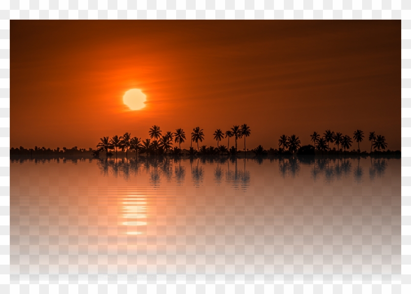 Peel N Stick Poster Of Sun Tree Isolated Sunset Png - Sunrise Nature ...